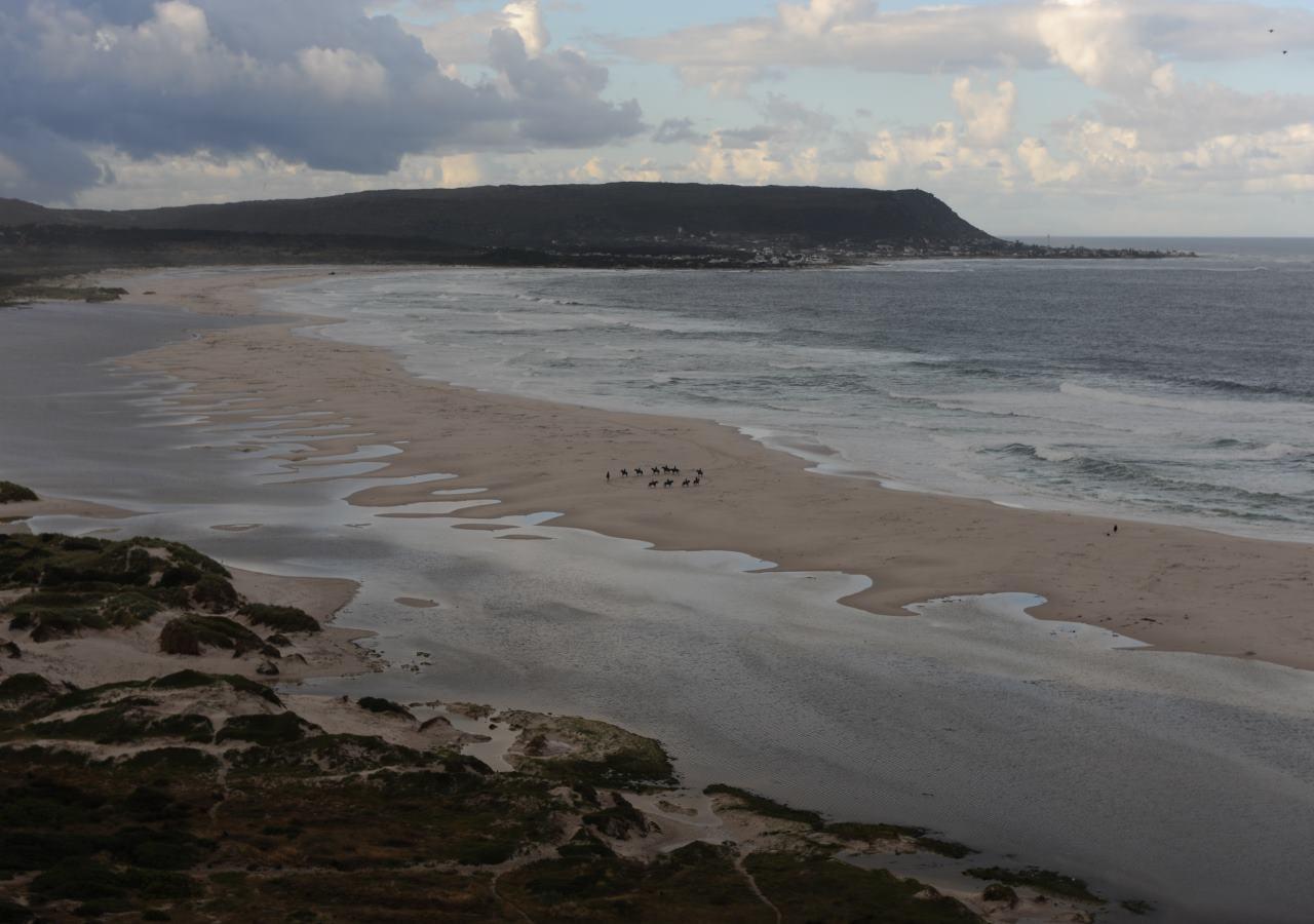 Monkey Valley (lodge) 3⋆ ··· Western Cape, Noordhoek ··· Great Deals ...